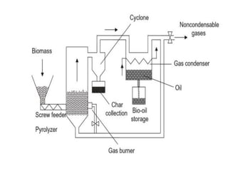 Biochemical and Thermochemical Conversion of Biomass.pptx