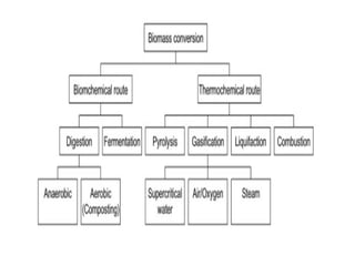 Biochemical and Thermochemical Conversion of Biomass.pptx