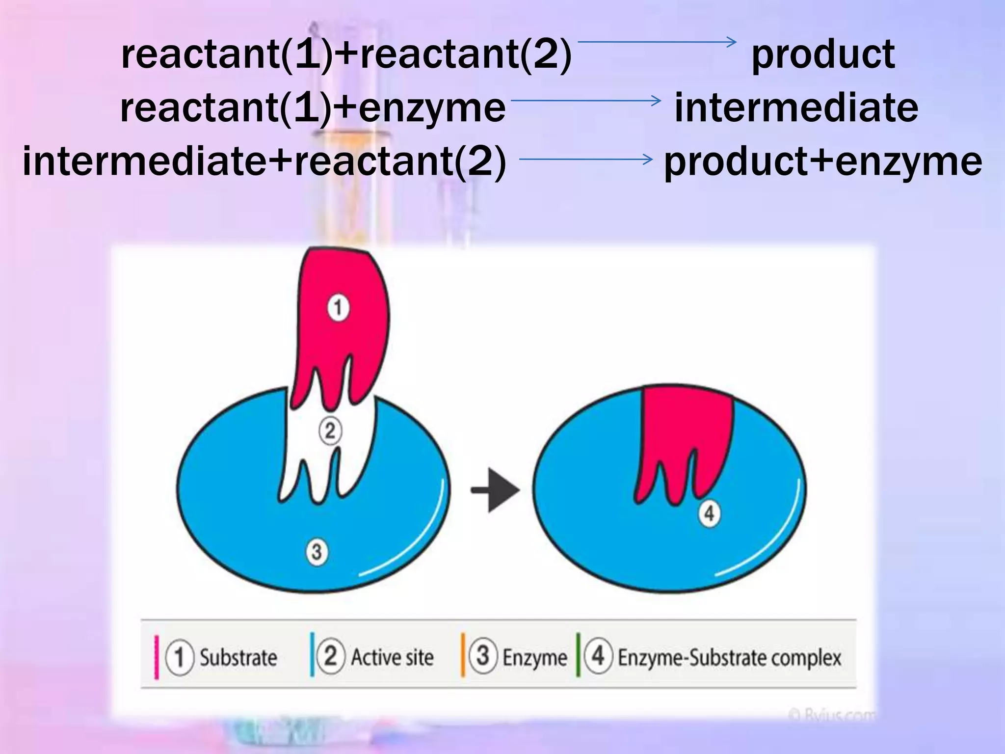 unit-4 enzymes by poonam9 Pgdiploma.pptx
