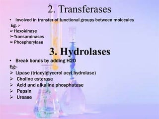 unit-4 enzymes by poonam9 Pgdiploma.pptx
