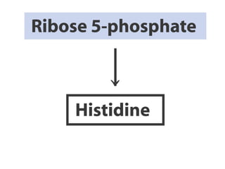 Unit-4 Final Amino acid structure - Copy.ppt