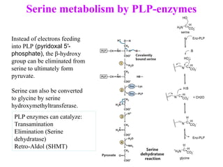 Unit-4 Final Amino acid structure - Copy.ppt