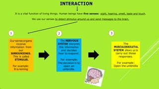 Unit 5.-interaction-and-health-converted | PPT