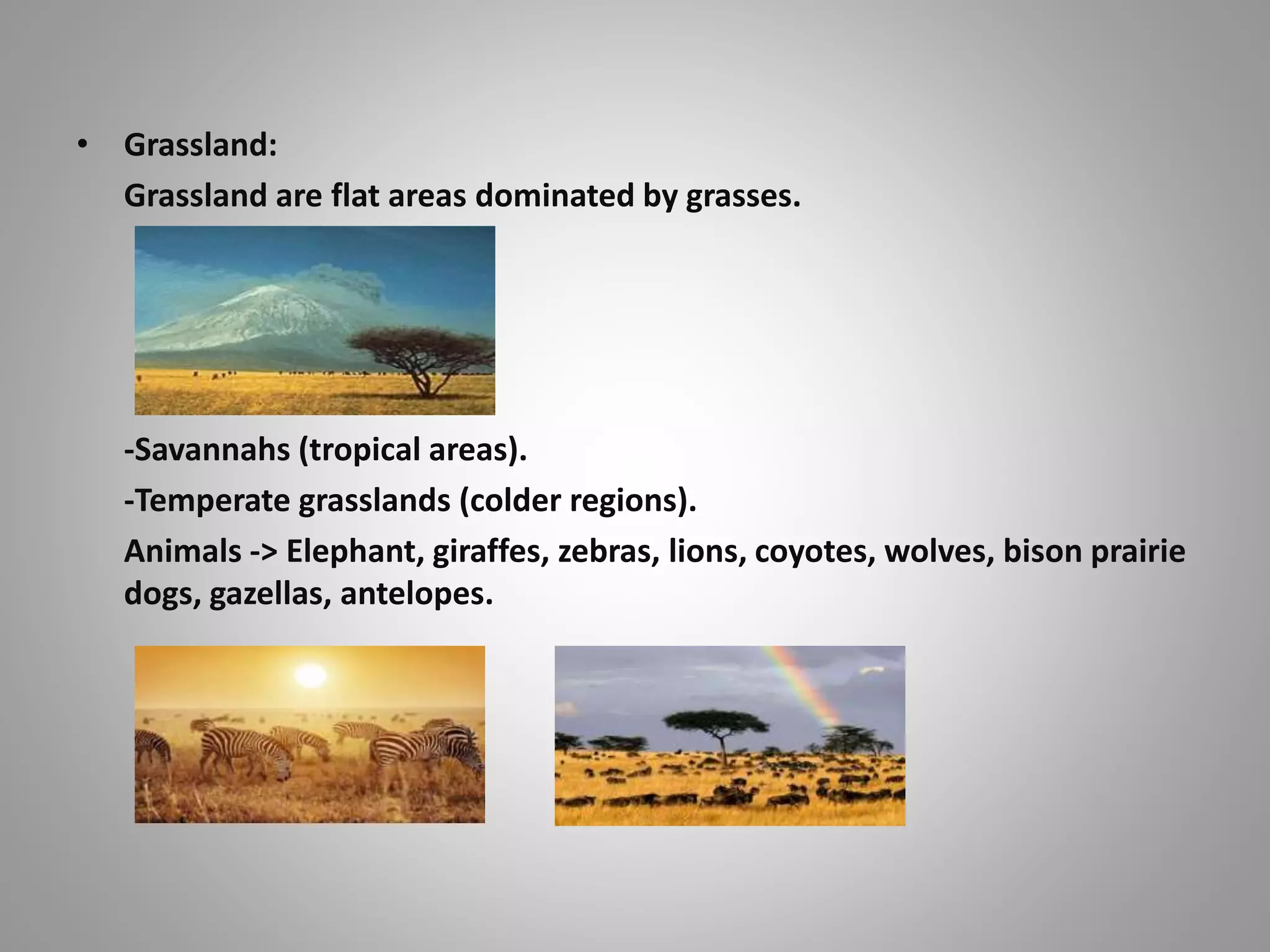 Unit 5 Ecosystems | PPT