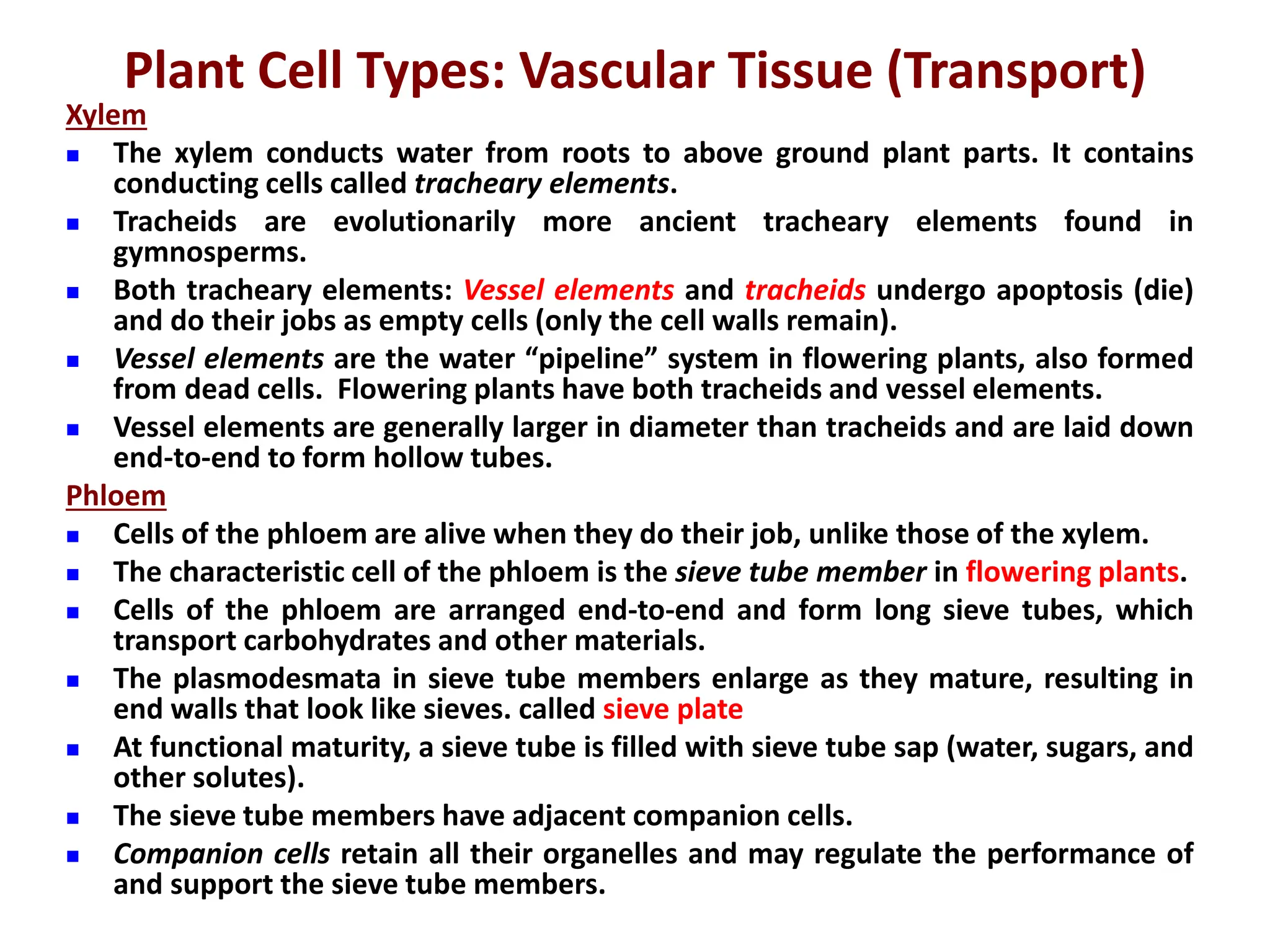 UNIT-5-TO-FINALS.-Plant-Tissue-and-Organs.pdf