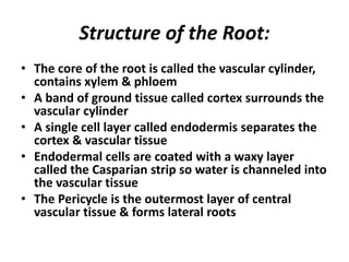 UNIT-5-TO-FINALS.-Plant-Tissue-and-Organs.pdf