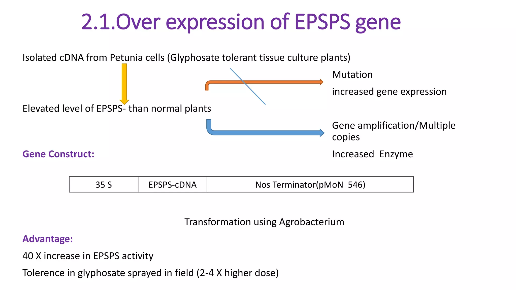HERBICIDE RESISTANCE | PPTX
