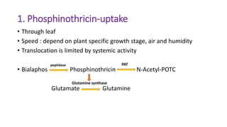 HERBICIDE RESISTANCE | PPTX