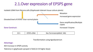 HERBICIDE RESISTANCE | PPTX
