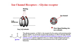 Unit 5 ion channel receptor | PDF
