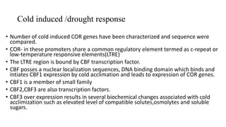 STRESS TOLERANCE | PPTX