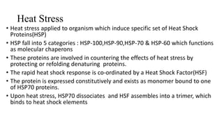 STRESS TOLERANCE | PPTX