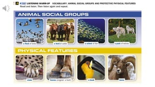 Unit-6-animals-review.pdf