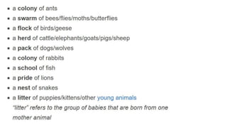 Unit-6-animals-review.pdf