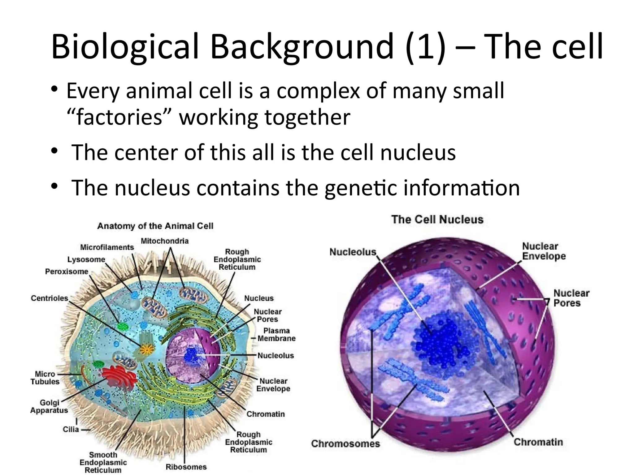 genetic algorithm artificial intelligence for AI sublect | PPTX