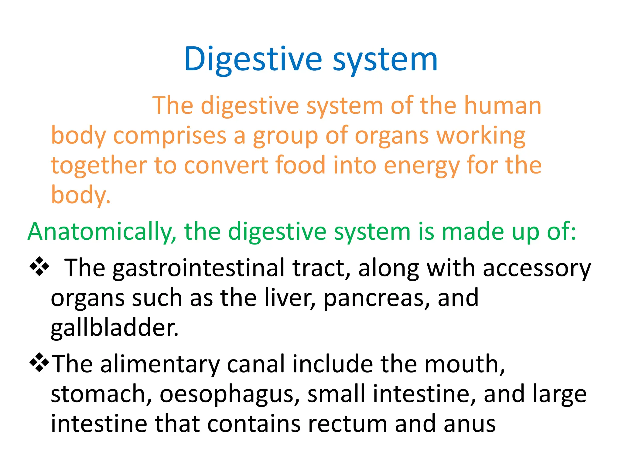 Digestive System Short Notes
