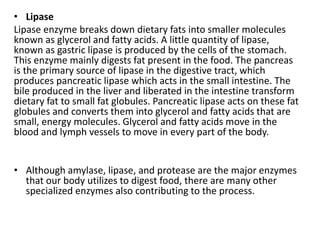 UNIT- 7 THE DIGESTIVE SYSTEM.for Ist year GNM | PPTX