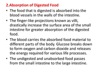 UNIT- 7 THE DIGESTIVE SYSTEM.for Ist year GNM | PPTX