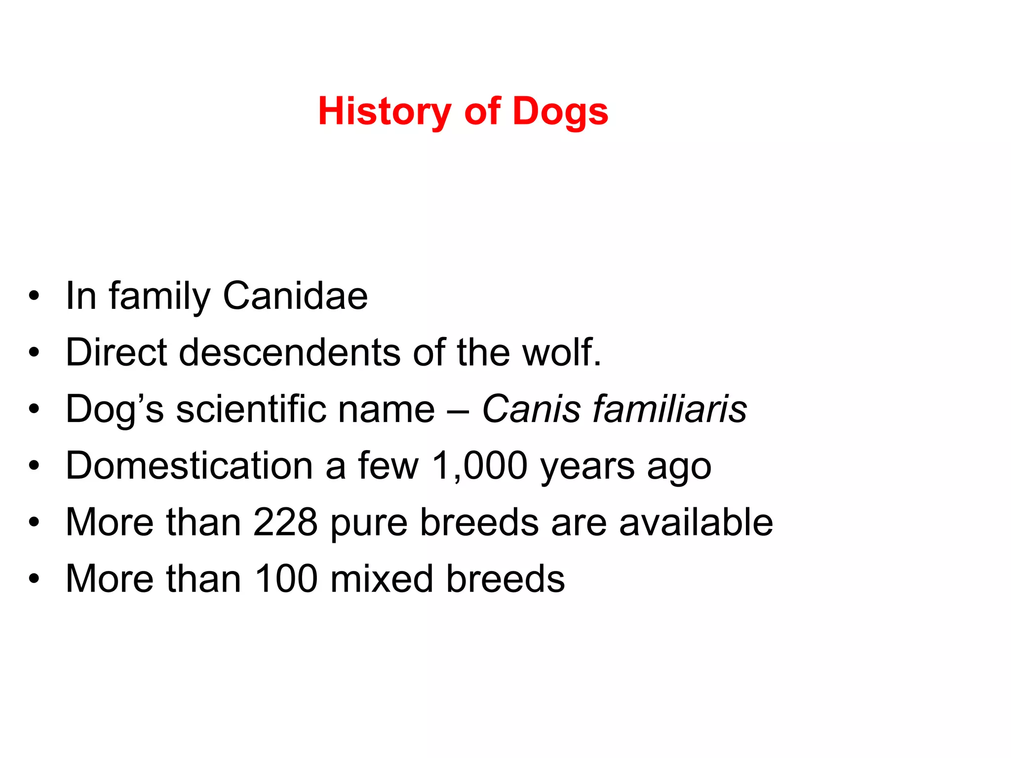 Unit-8_Classification_of_breeds_and_breeding_of_dogs.pptx | Dogs | Pets