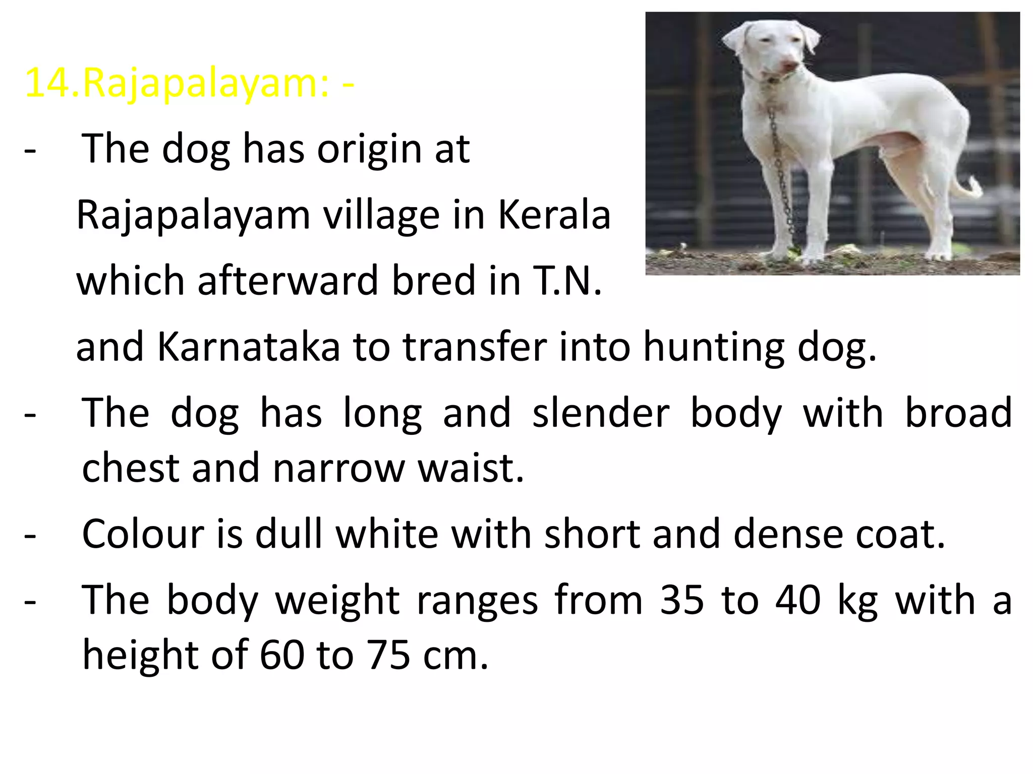 Unit-8_Classification_of_breeds_and_breeding_of_dogs.pptx | Dogs | Pets
