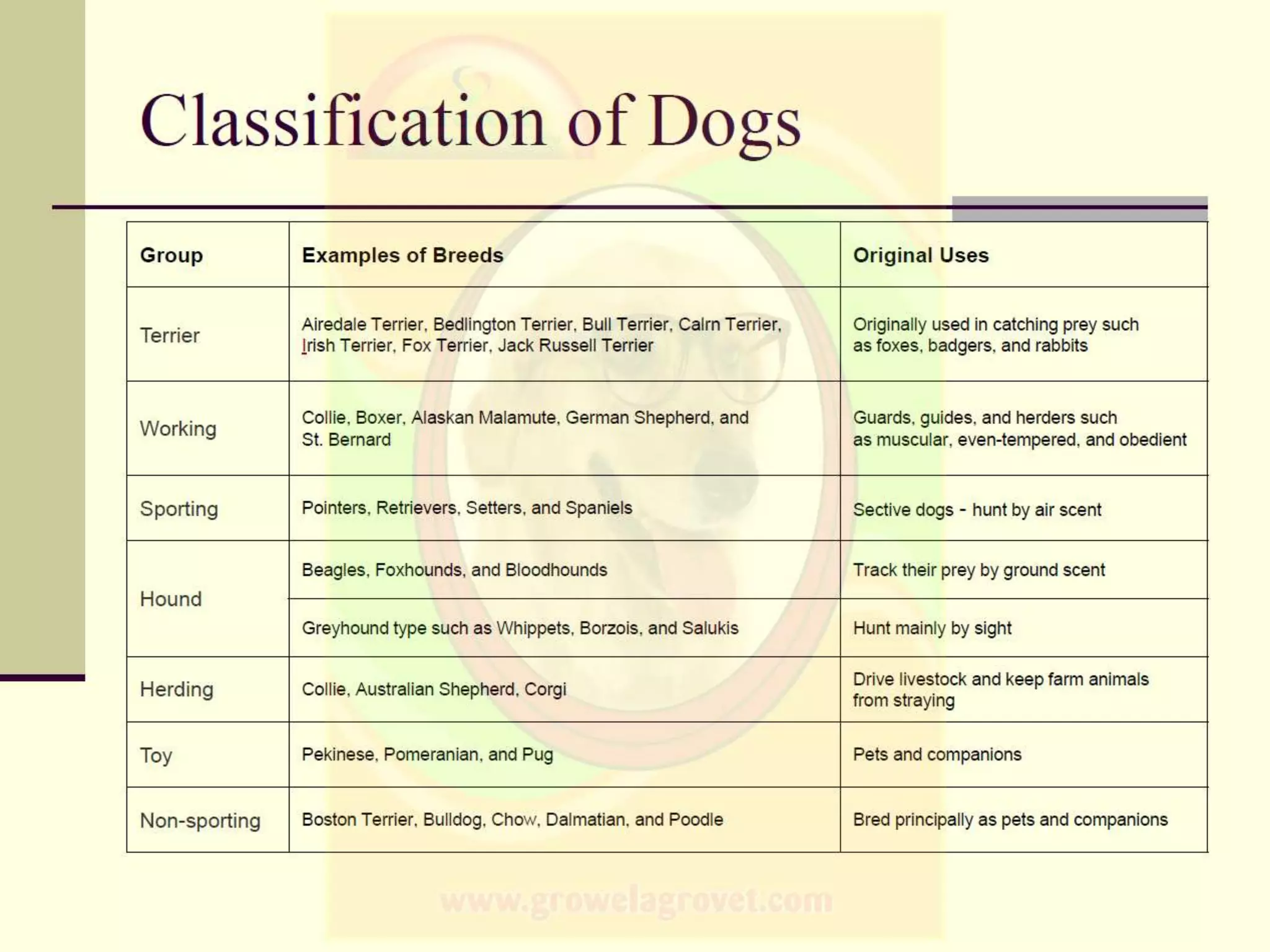 Unit-8_Classification_of_breeds_and_breeding_of_dogs.pptx | Dogs | Pets