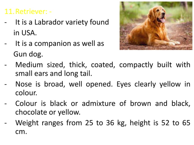 Unit-8_Classification_of_breeds_and_breeding_of_dogs.pptx | Dogs | Pets