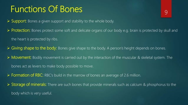 UNIT - 8 Fundamentals of Anatomy and Physiology and Kinesiology in ...