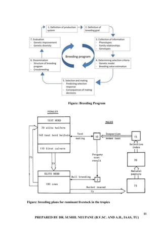 UNIT-9-breeding strategy.pdf
