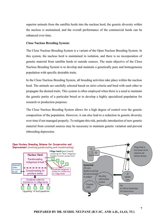 UNIT-9-breeding strategy.pdf | Genetics | Science