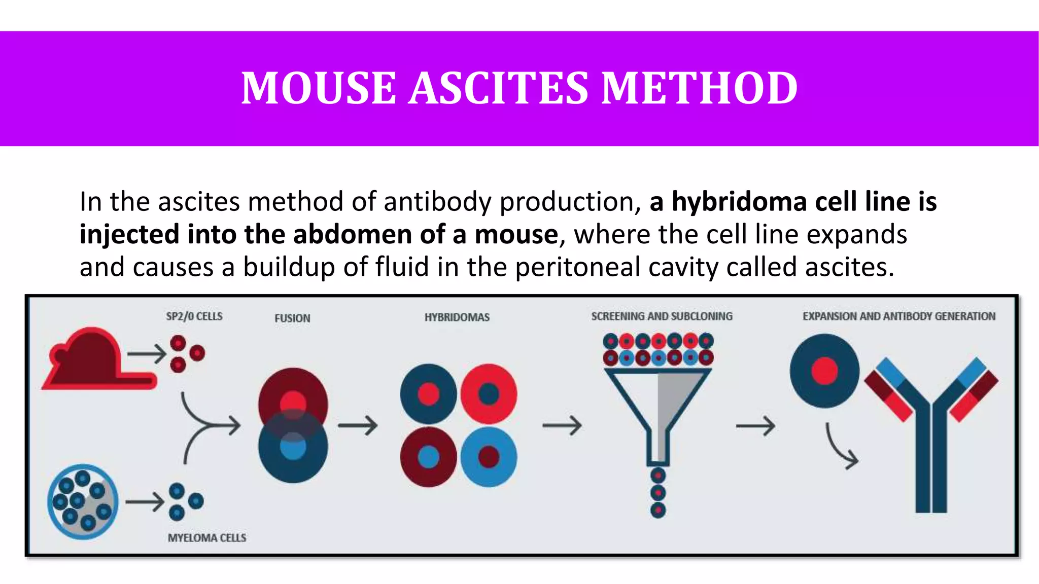 Unit 9 IN VITRO EXPERIMENTATION: ADVANTAGES & DISADVANTAGES | PPTX