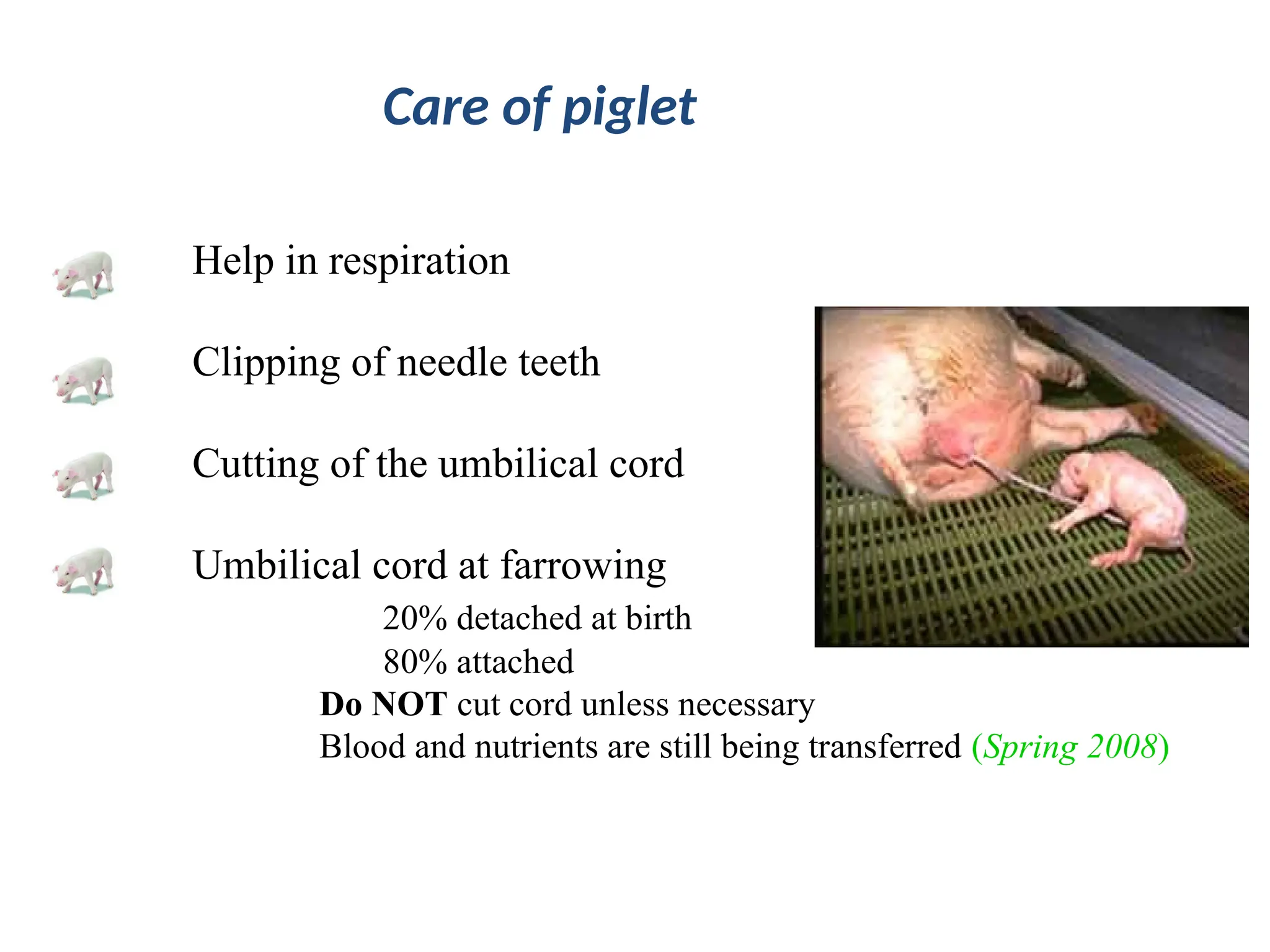livestock Unit-9_Management_of_piglets.pptx