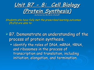 Unit B7 8 Protein Synthesis | PPT