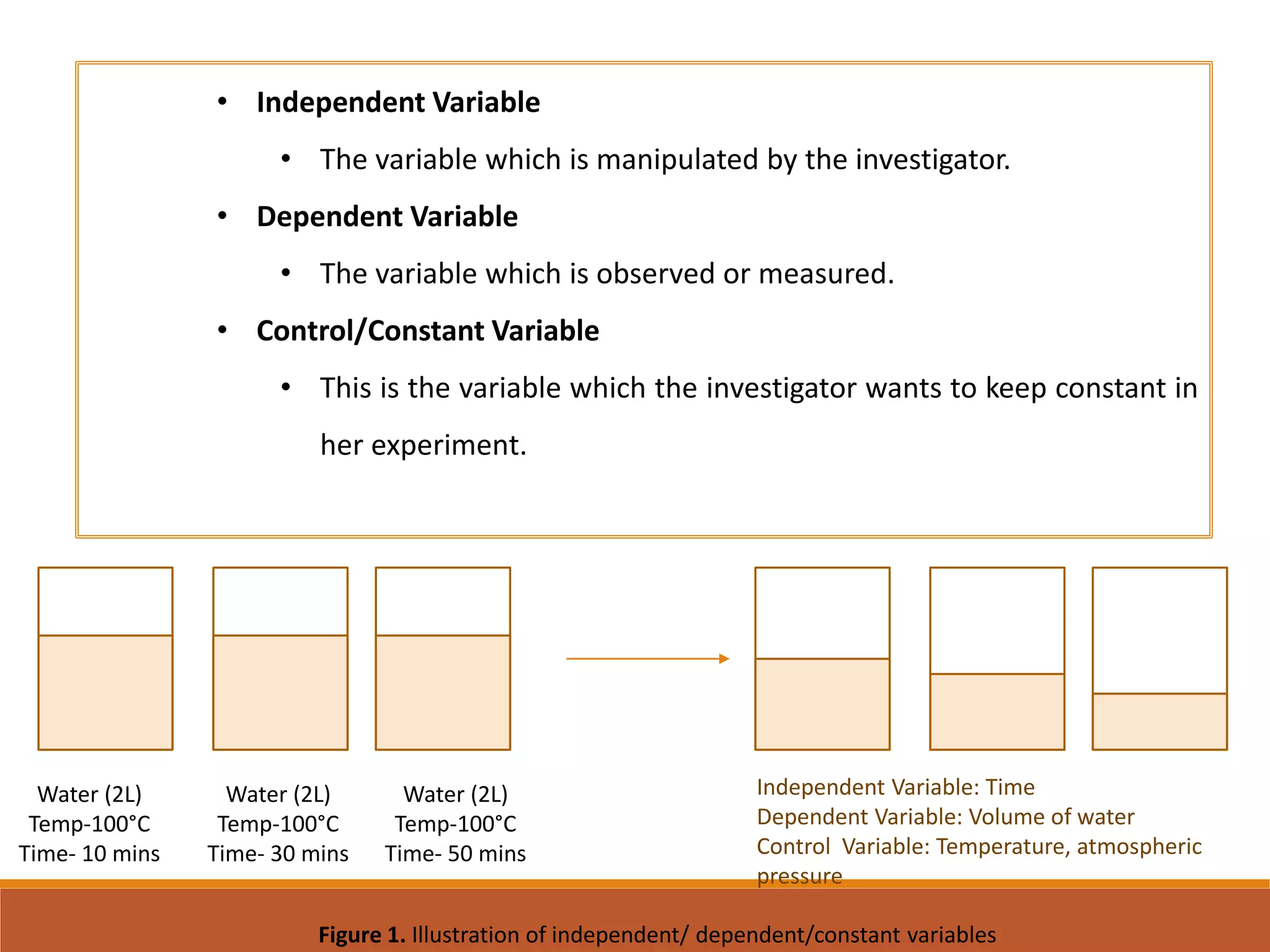 Introduction to Biostatistics and types of sampling methods | PPTX