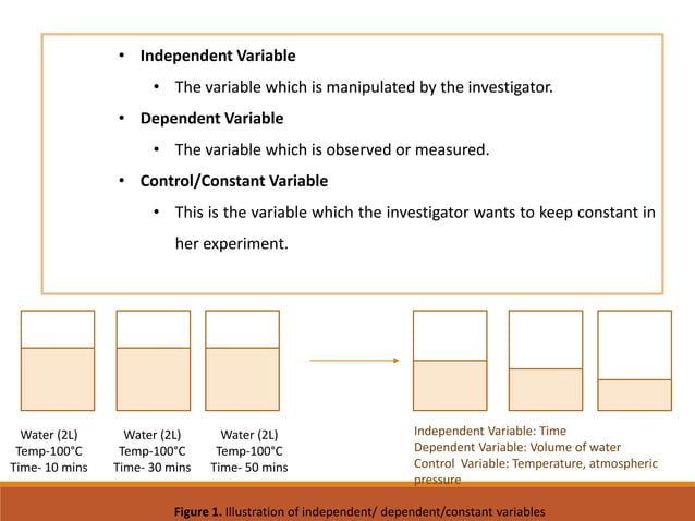 Introduction to Biostatistics and types of sampling methods | PPTX