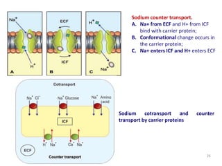 UNIT-I-cell transport.pptx