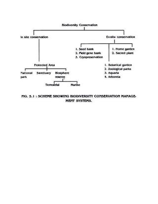 Unit i biodiversity | DOC | Zoos & Aquariums | Attractions