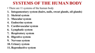 Unit I, chapter-1- introduction to human body final | PPTX
