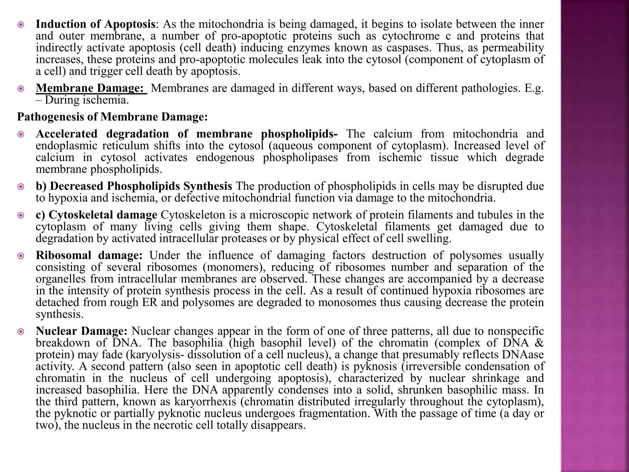 UNIT-I PATHOPHYSIOLOGY CHAPTER-1 P-1.pptx