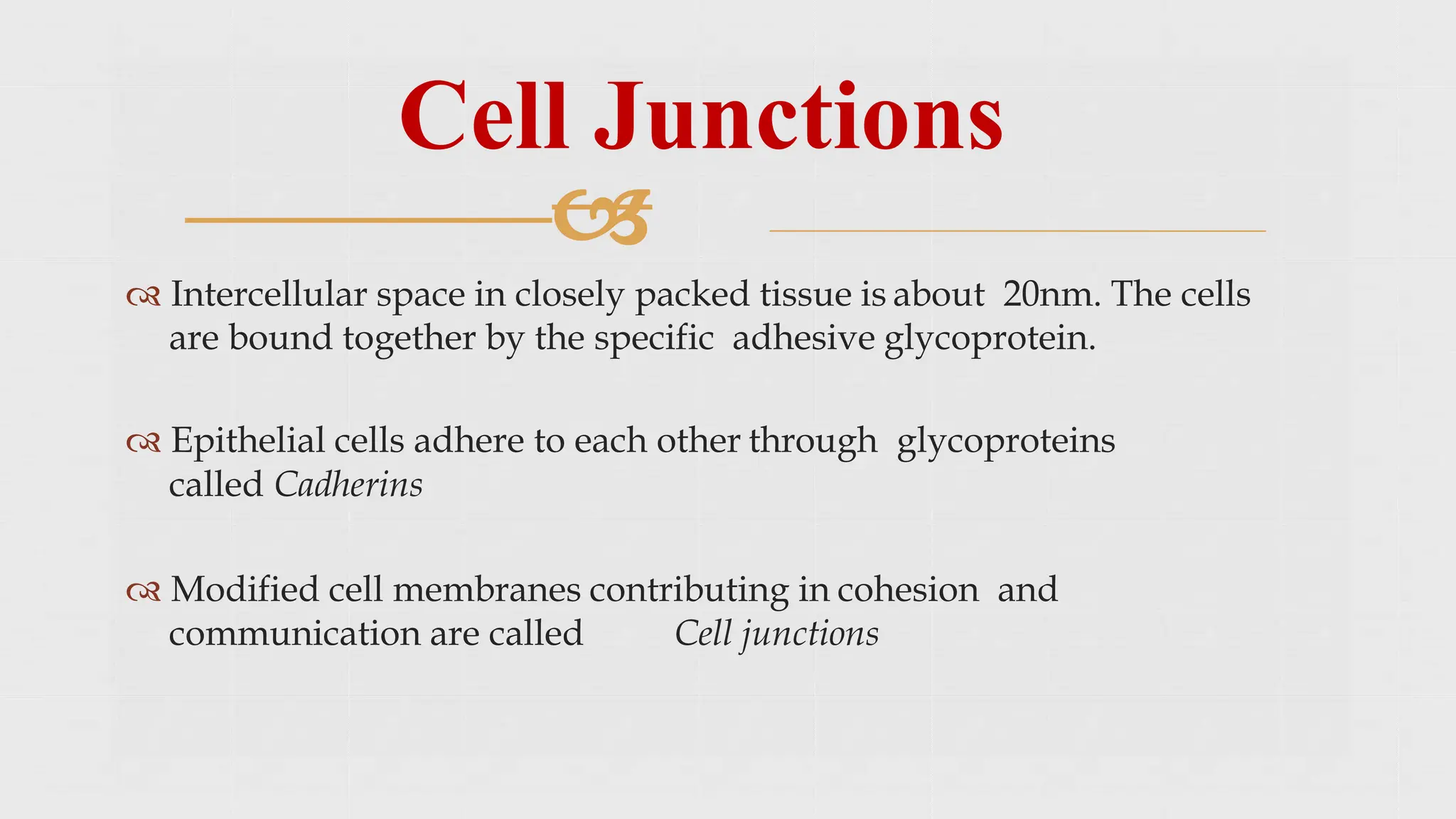 unit-ichapter-2cellularleveloforganization-220112084615 (1).pdf