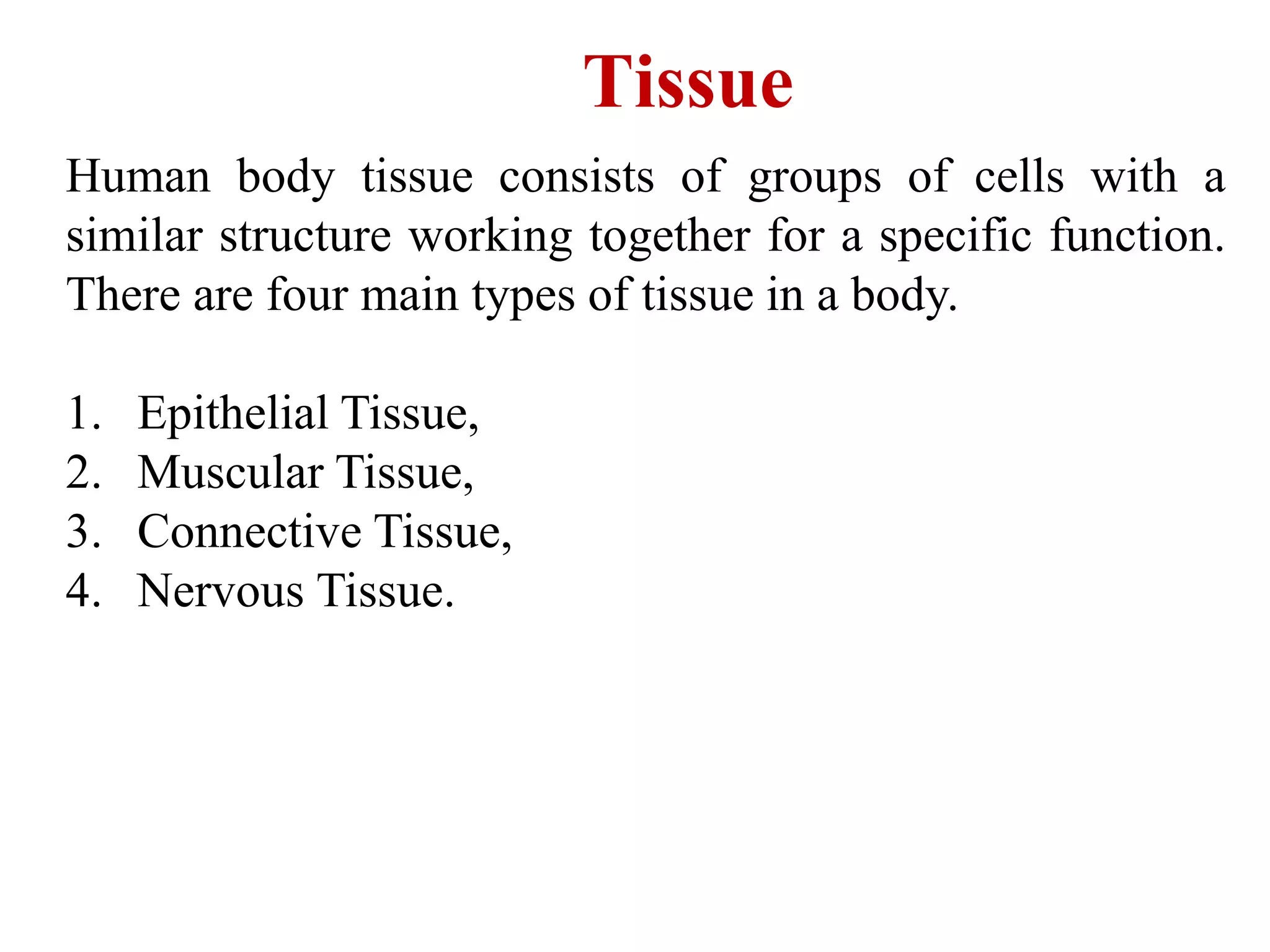 Unit-I, Chapter-3 Tissue level of organization. | PPTX