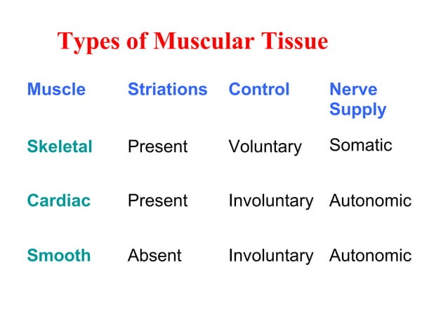 Unit-I, Chapter-3 Tissue level of organization. | PPTX