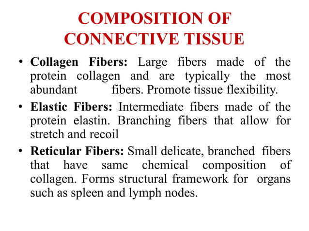 Unit-I, Chapter-3 Tissue level of organization. | PPTX