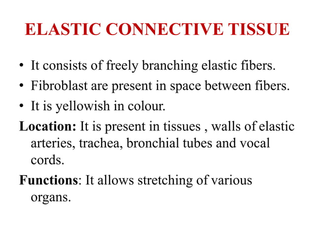 Unit-I, Chapter-3 Tissue level of organization. | PPTX