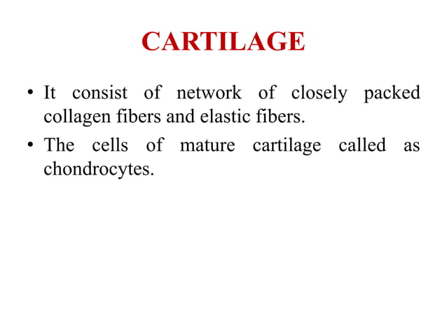 Unit-I, Chapter-3 Tissue level of organization. | PPTX