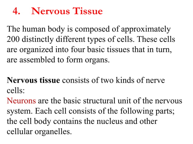 Unit-I, Chapter-3 Tissue level of organization. | PPTX