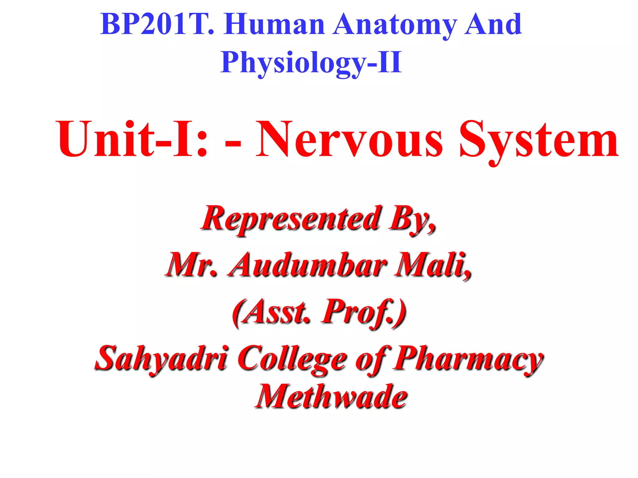 Nervous System Anatomy | PPT