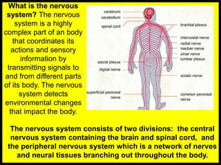 Unit-I, Chapter_1 Nervous System Final PPT.ppt