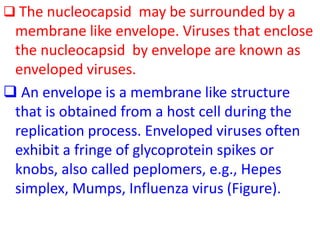 Unit i discovery of viruses ppt | PPTX