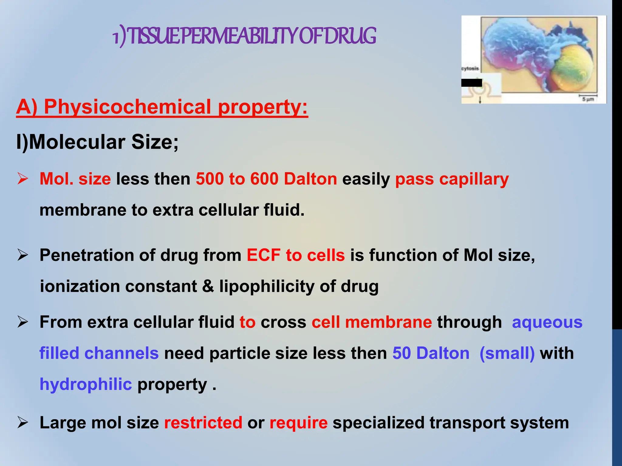 Unit-I Distribution of Drugs BPPK @123.pptx | Blood Disorders ...