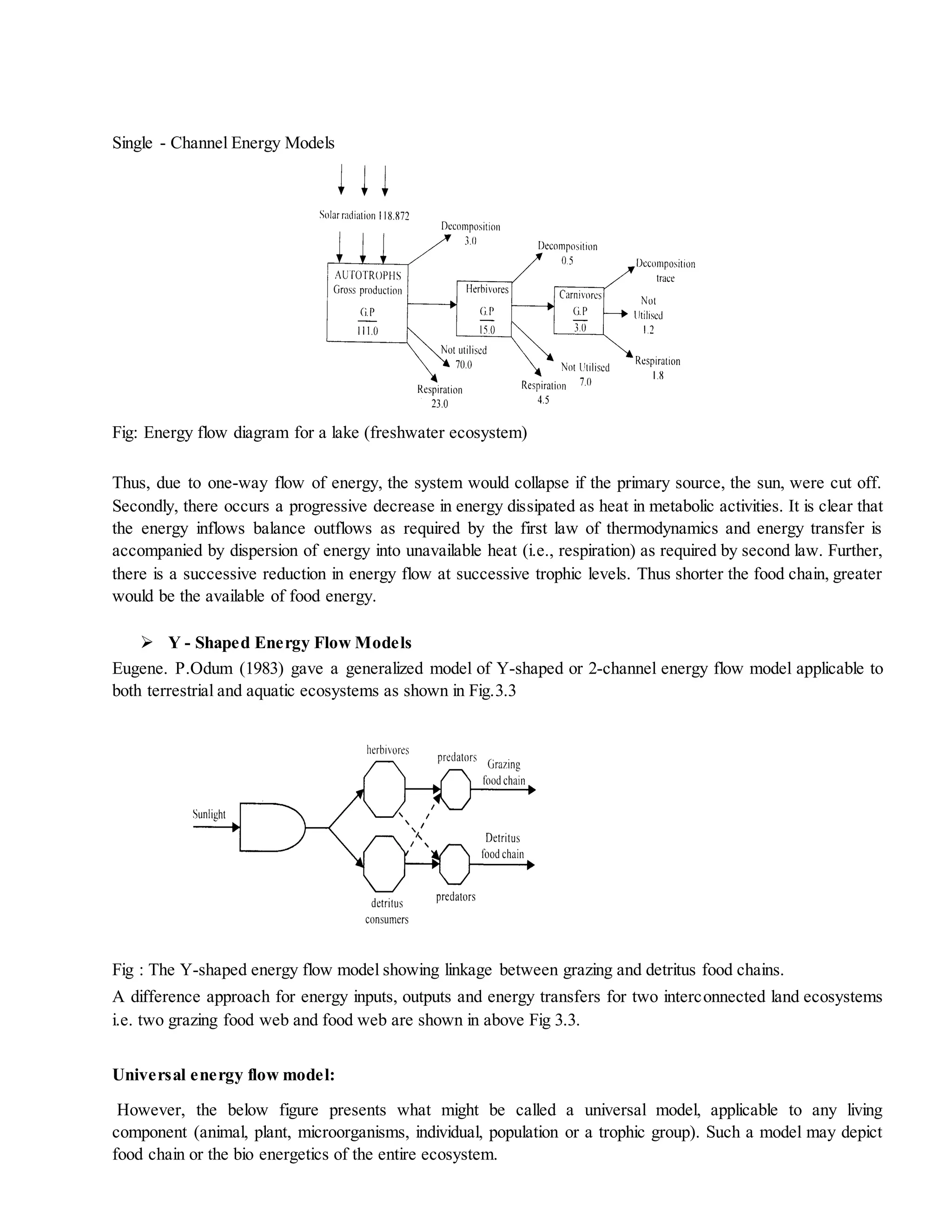 Unit i ecosystem | DOC | Physics | Science